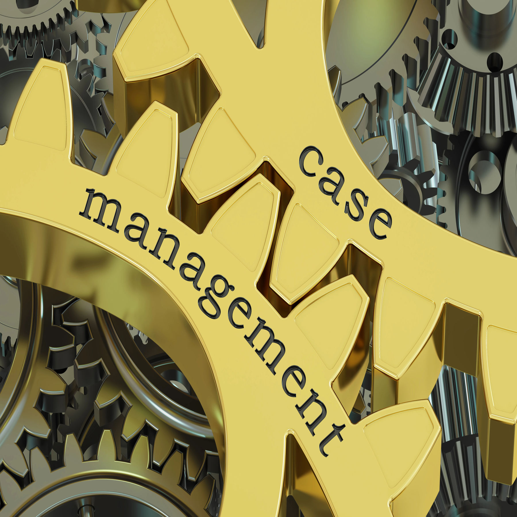 Case Management Week: Coordinating Comprehensive Care for Seniors ...
