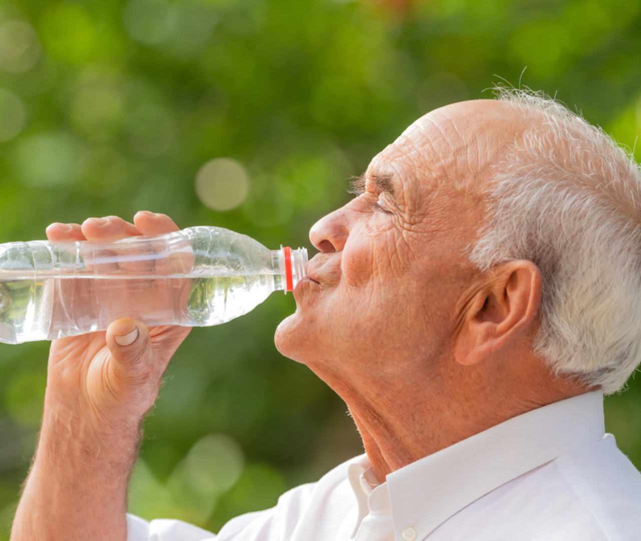 World Water Week: Staying Hydrated and Healthy in Senior Years - Angel ...
