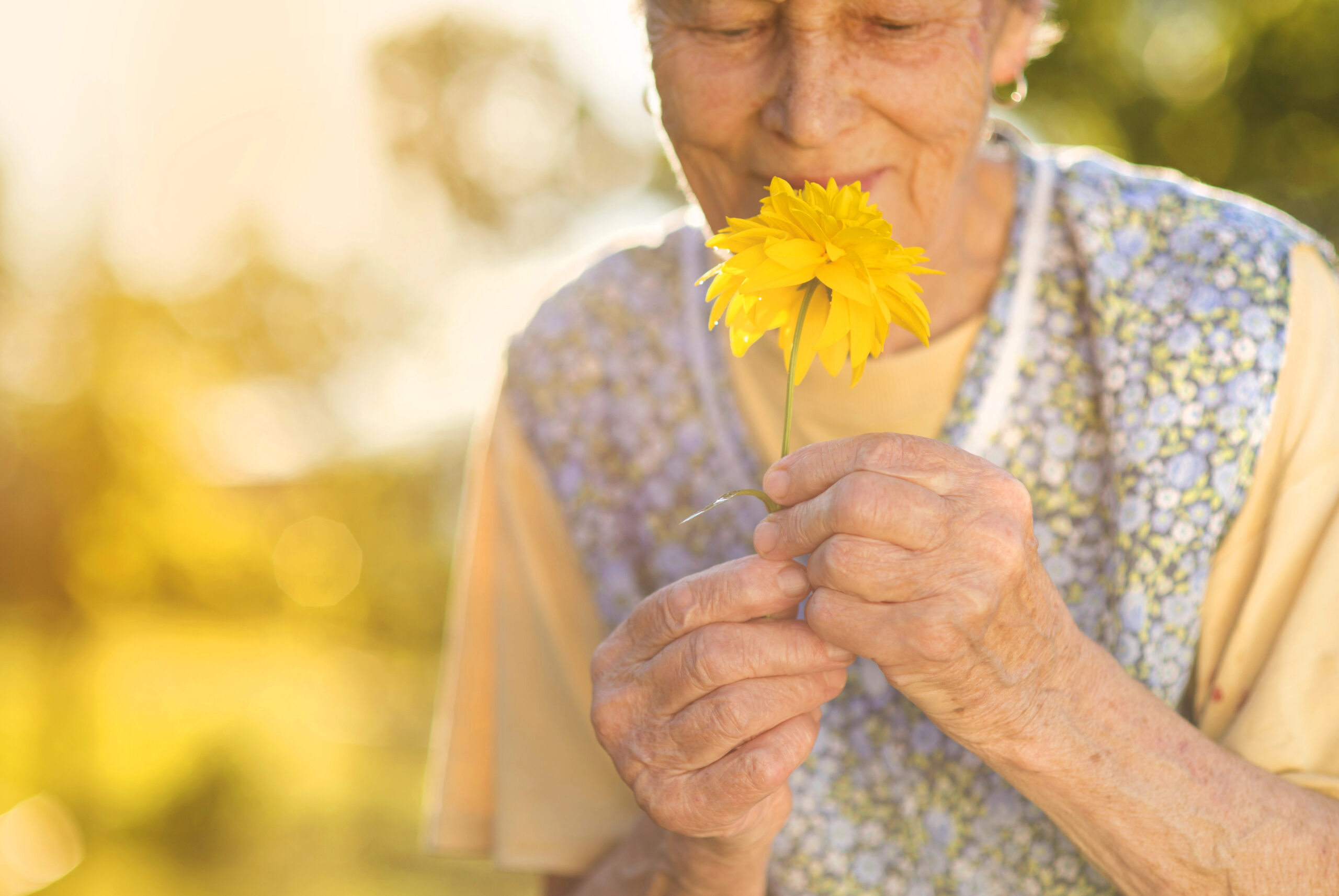 Are We Valuing the Wisdom and Contributions of Older Adults? - Angel ...